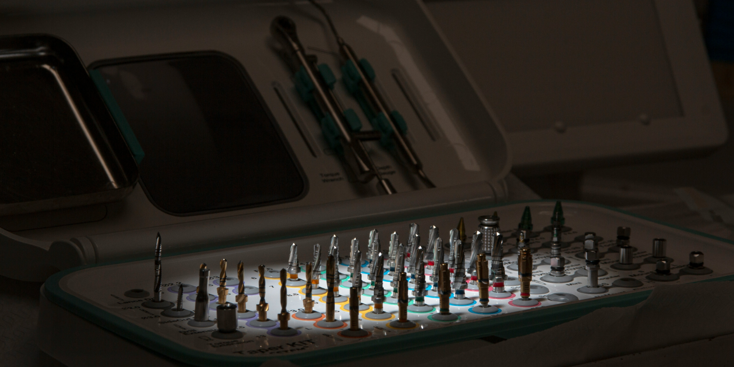 Finding Freedom: Carlotta's Quest to Rescue Nala